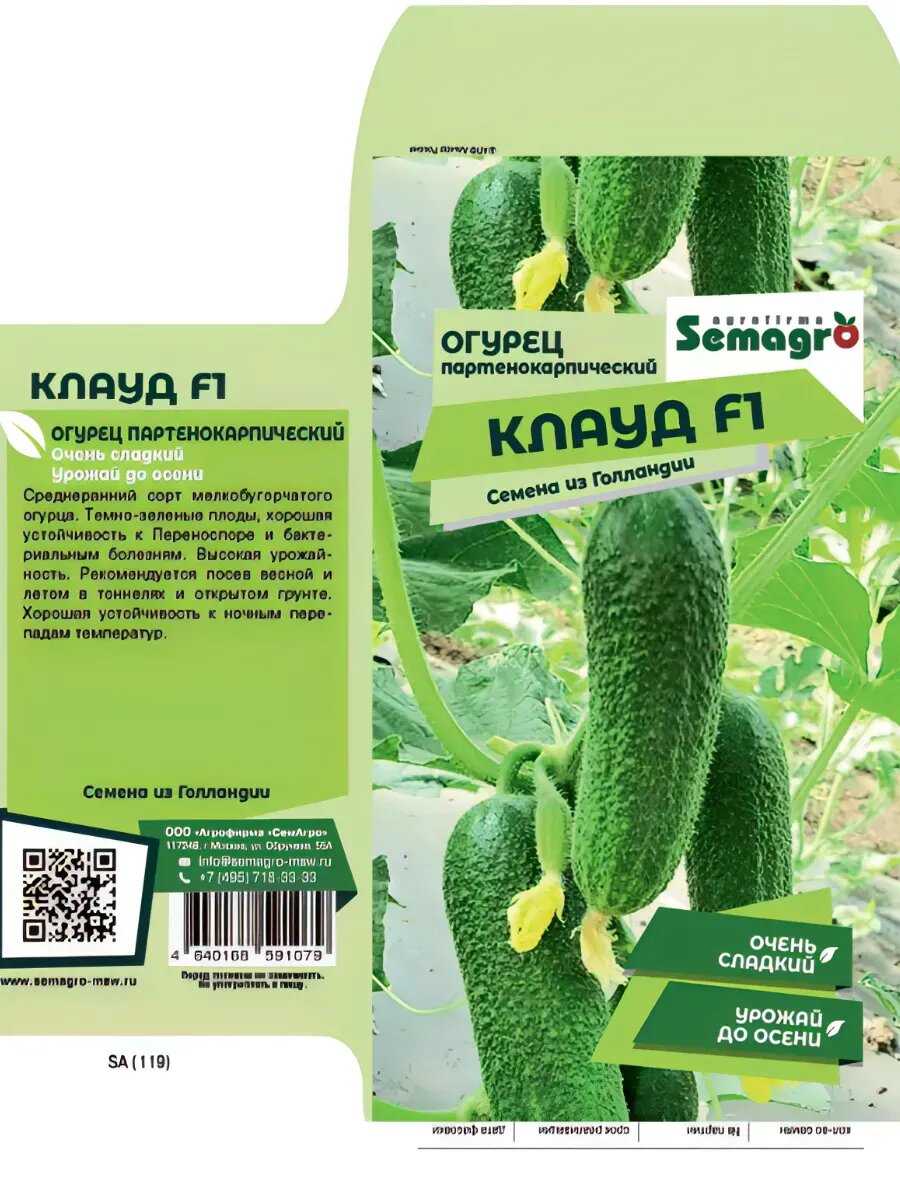 Семена огурец Клауд — фото 1