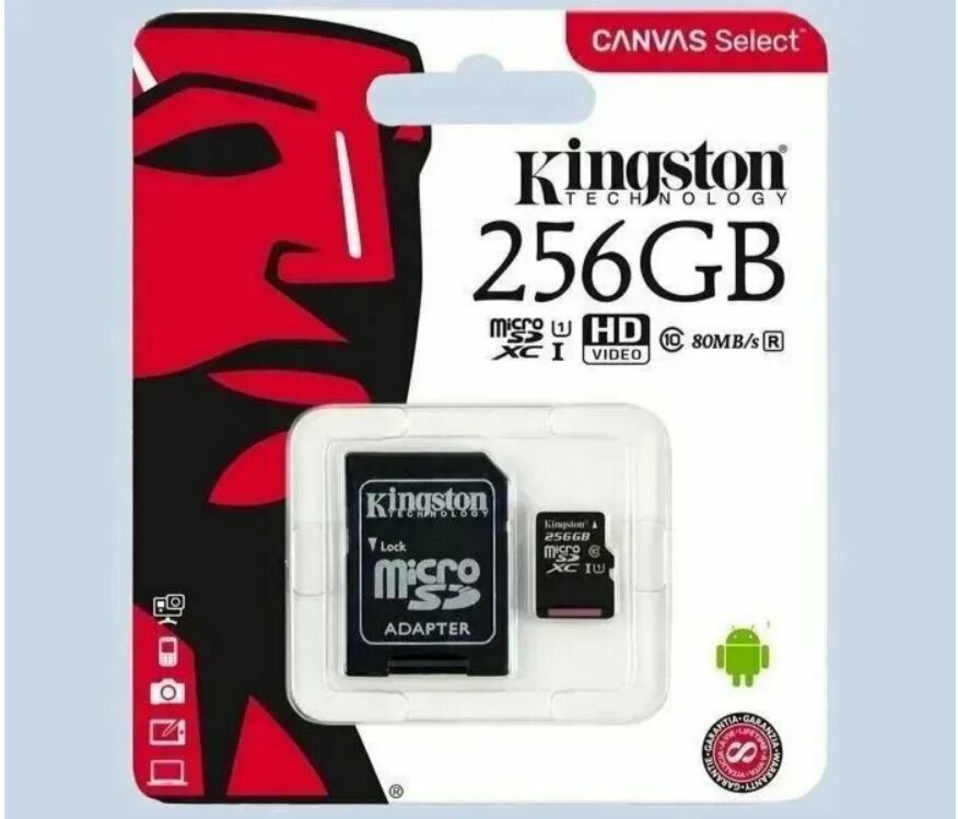 Карта памяти Canvas Select 256 ГБ (34535)