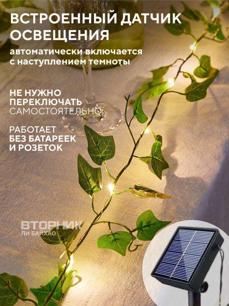 Электрогирлянда уличная Бахрома Светодиодная 100 ламп, 10 м, питание Солнечная батарея, 1 шт
