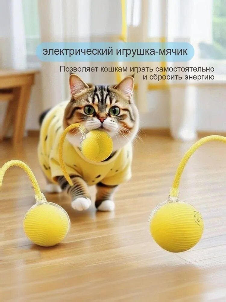 Автоматическая игрушка для питомцев "Ту-Ту Шар"