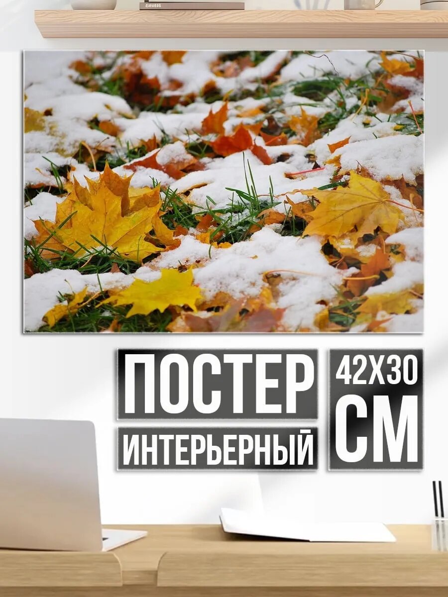 Плакат постер Осенние листья под снегом