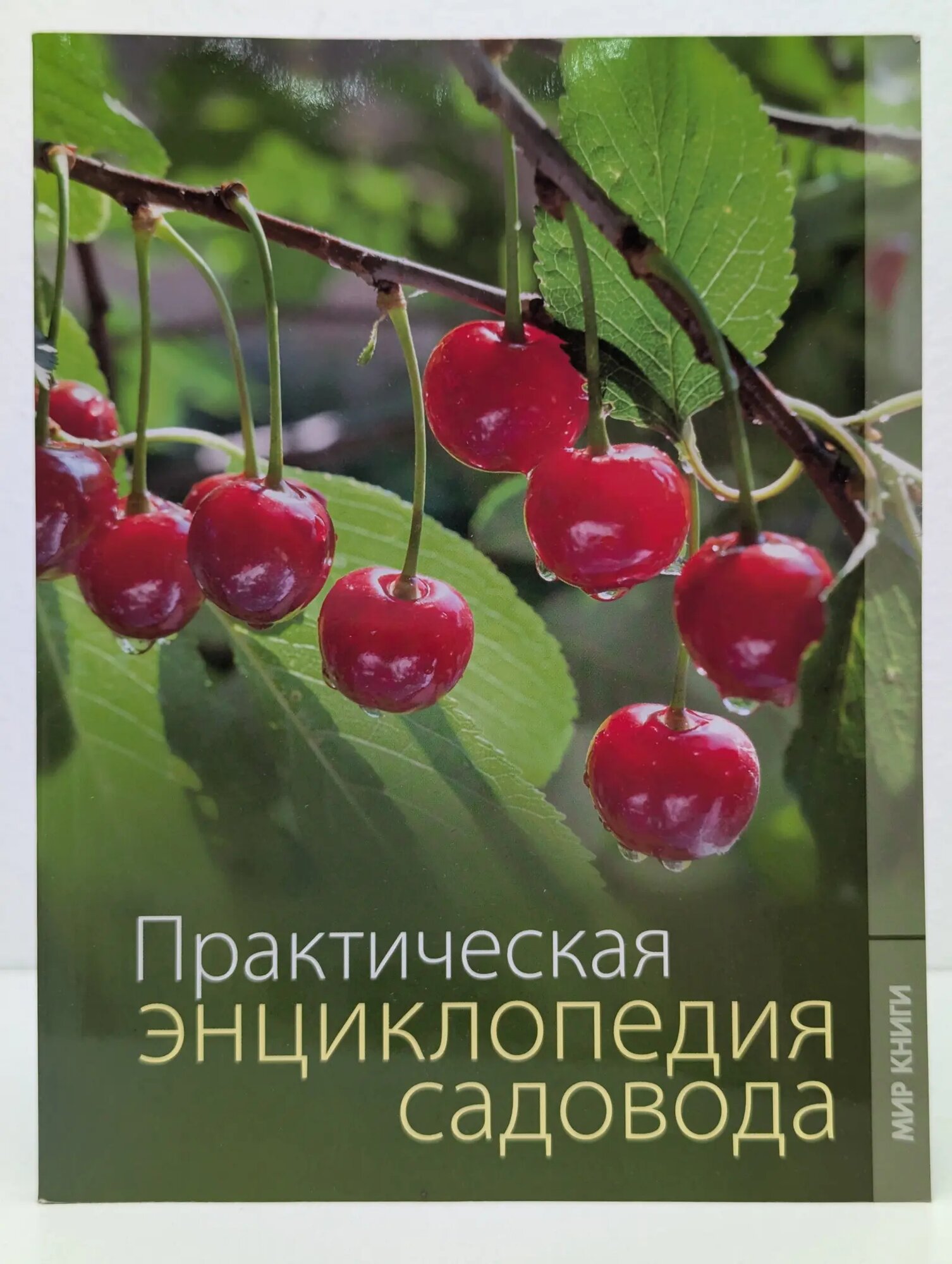 Практическая энциклопедия садовода Яковлева Ольга Валентиновна 2012