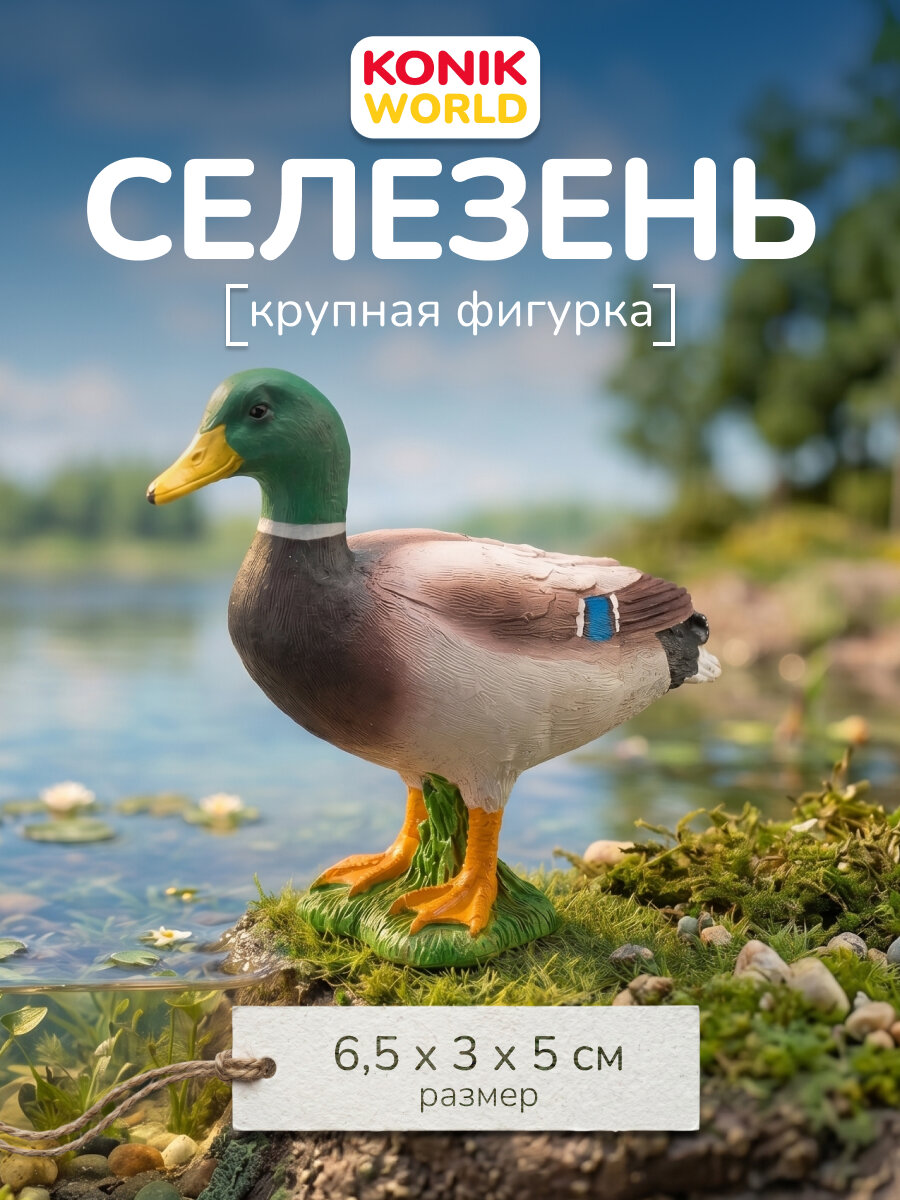 Фигурка-игрушка KONIK FARMLAND Селезень, реалистичный AMF1042, коллекционная фигурка