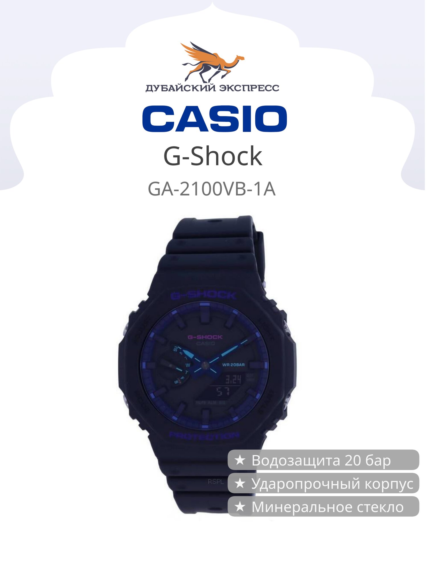  CASIO