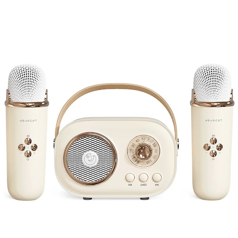 Караоке-машина YIBOYUAN Beige 2 Mic