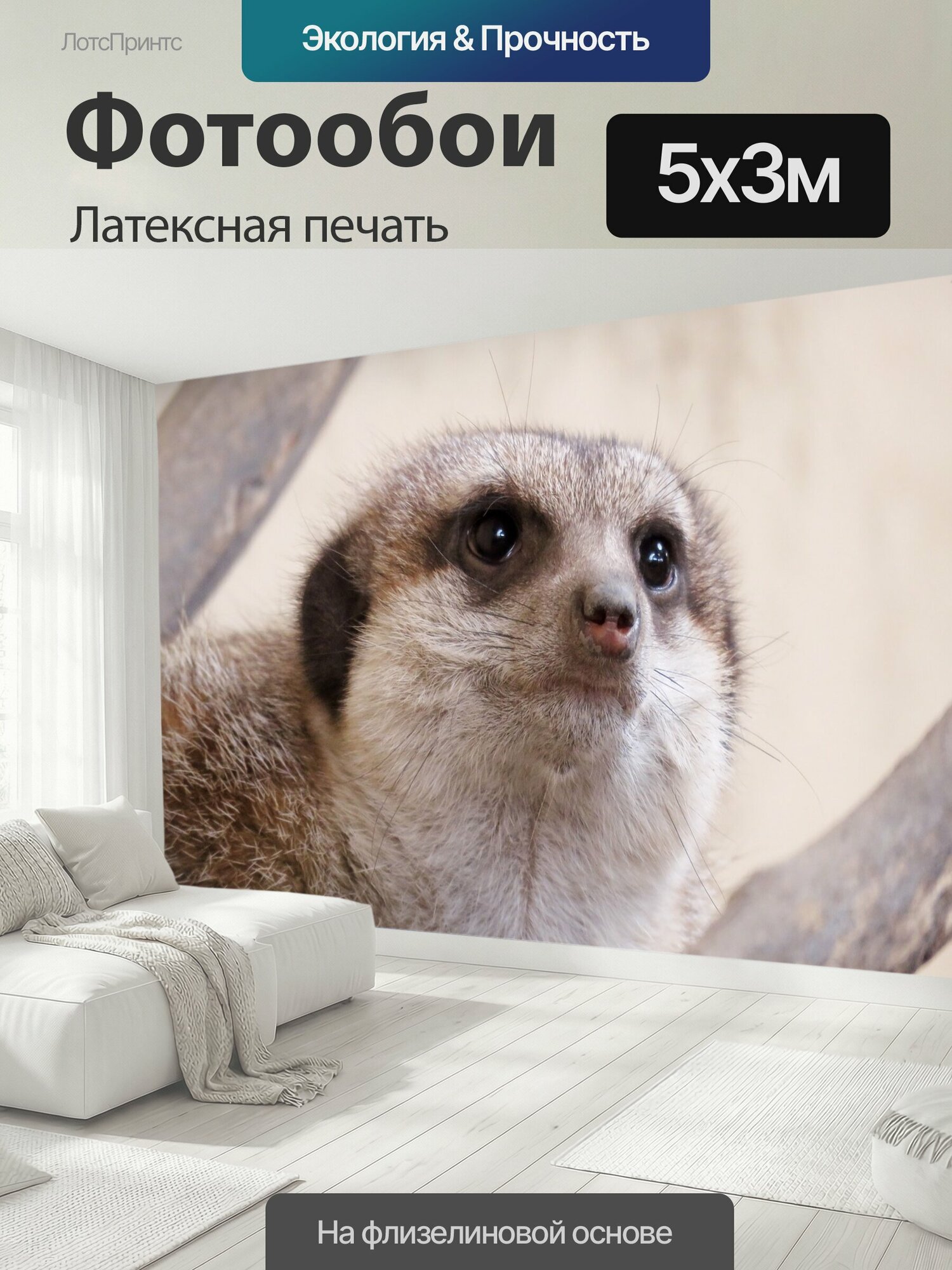 Фотообои моющиеся ударопрочные "Сурикат, мангуста, зоопарк калгари" 500x300 см. латексная печать