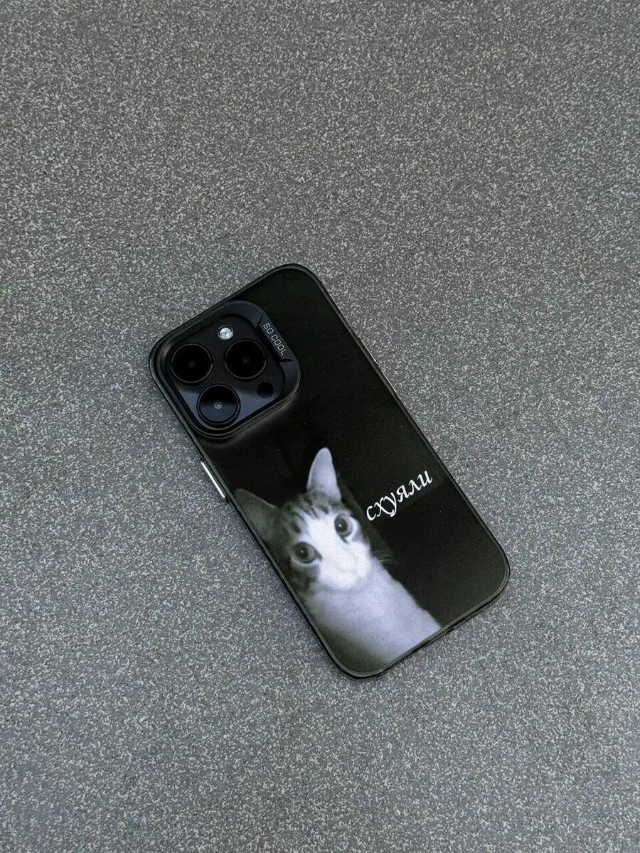 Чехол на Iphone 16 Pro мем — фото 1
