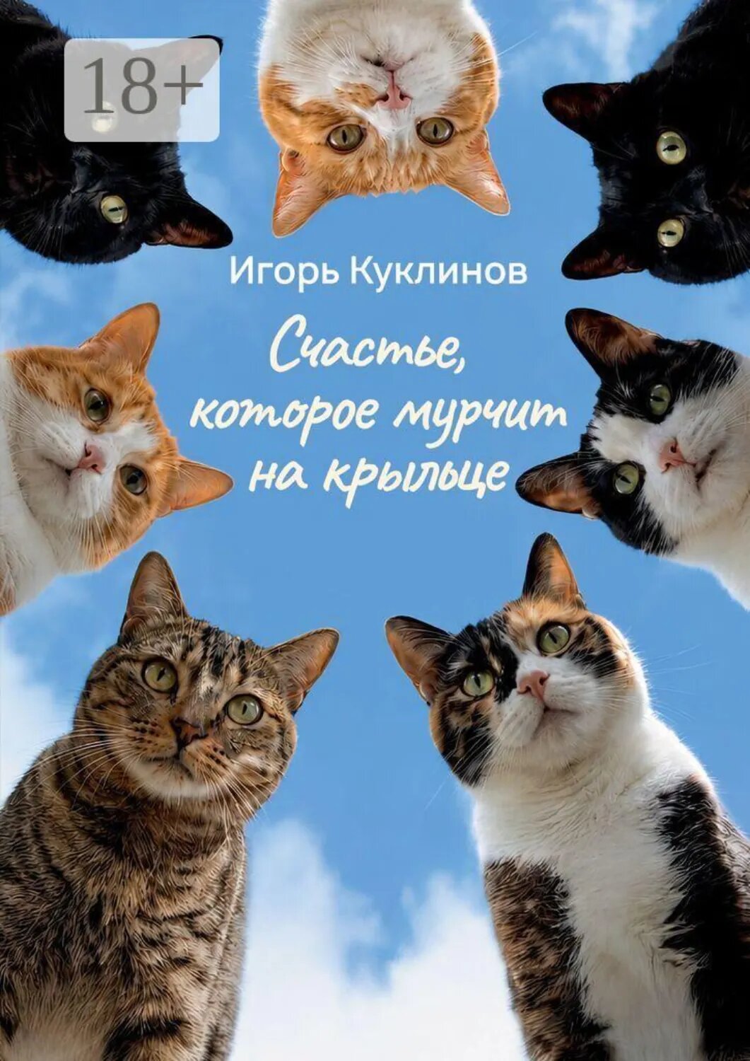 Счастье, которое мурчит на крыльце [Цифровая книга]