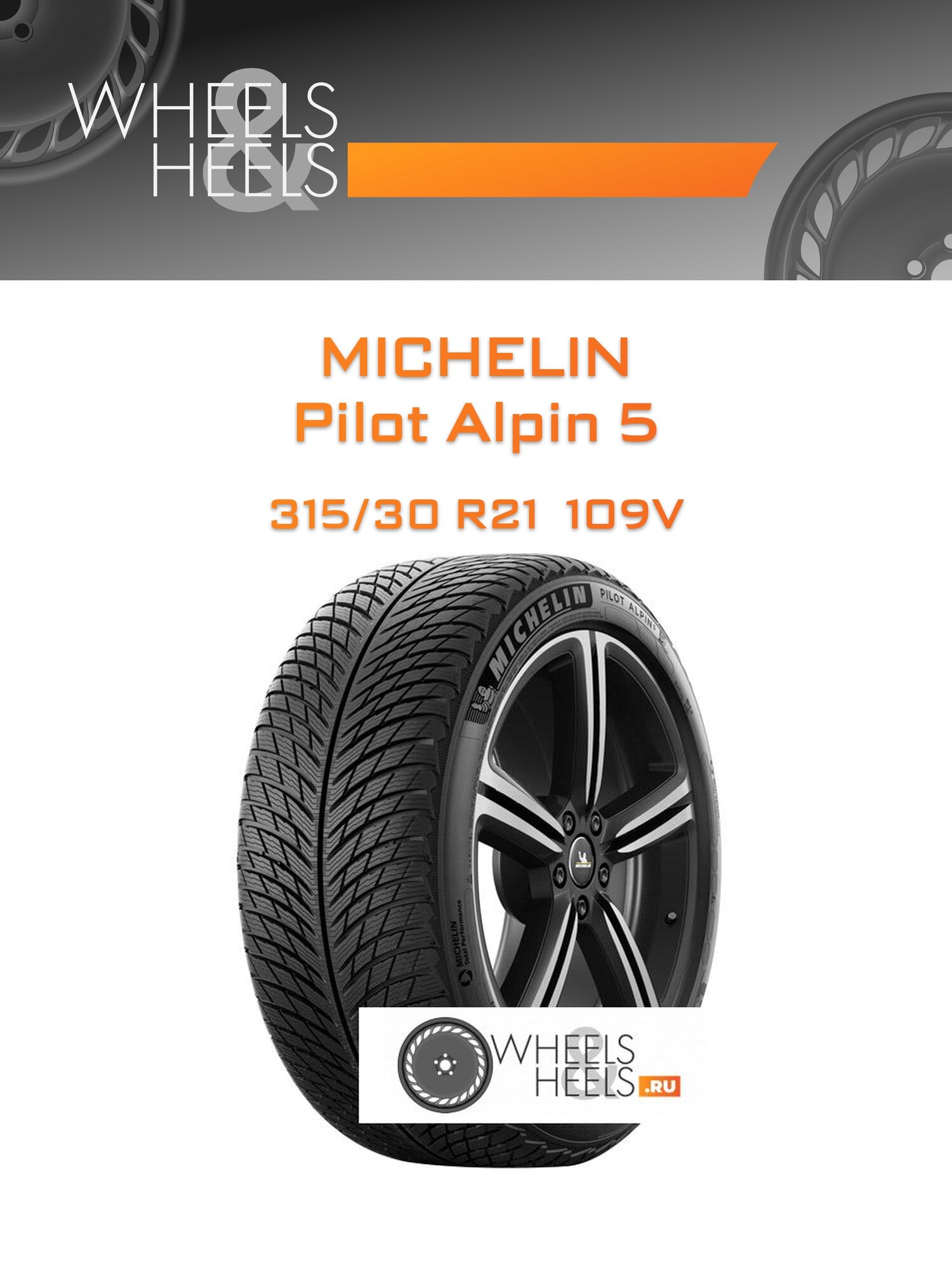 Шина автомобильная Michelin Pilot Alpin 5 315/30 R21 109V XL WINTER, зимняя, универсальная