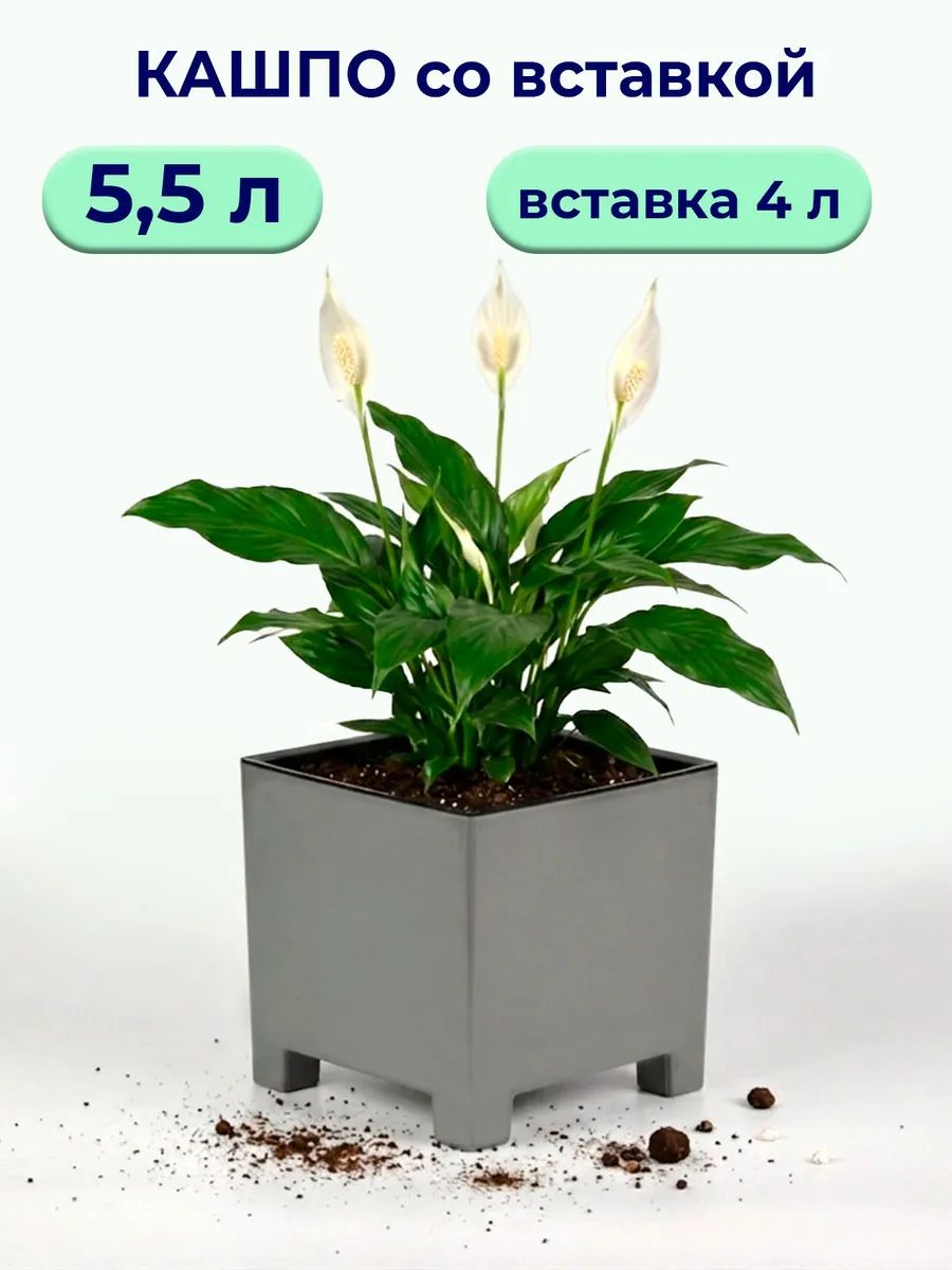 Кашпо для цветов комнатных 5 л + горшок 4 л