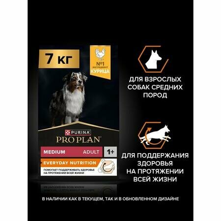 PRO PLAN EVERYDAY NUTRITION 7 кг сухой корм для взрослых собак средних пород, с высоким содержанием курицы