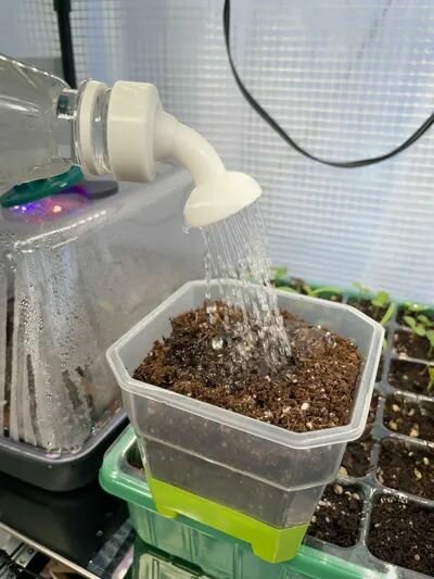 Лейка для полива на бутылку, для рассады, для комнатных и тепличных растений, цветоводства