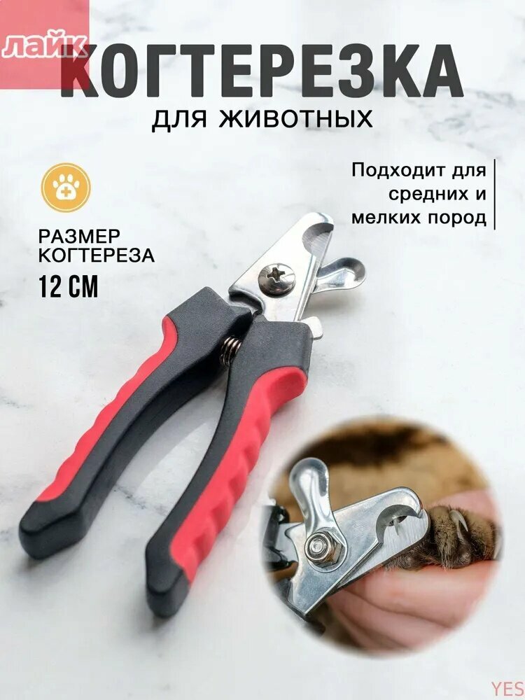 Когтерез