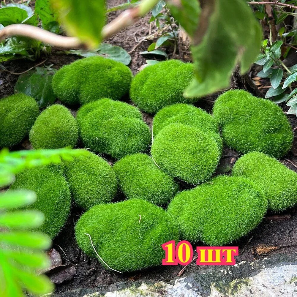 Искусственные цветы,10шт