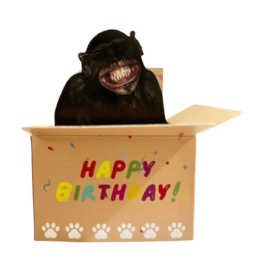 Открытка 3D с выскакивающей обезьяной, Gorilla
