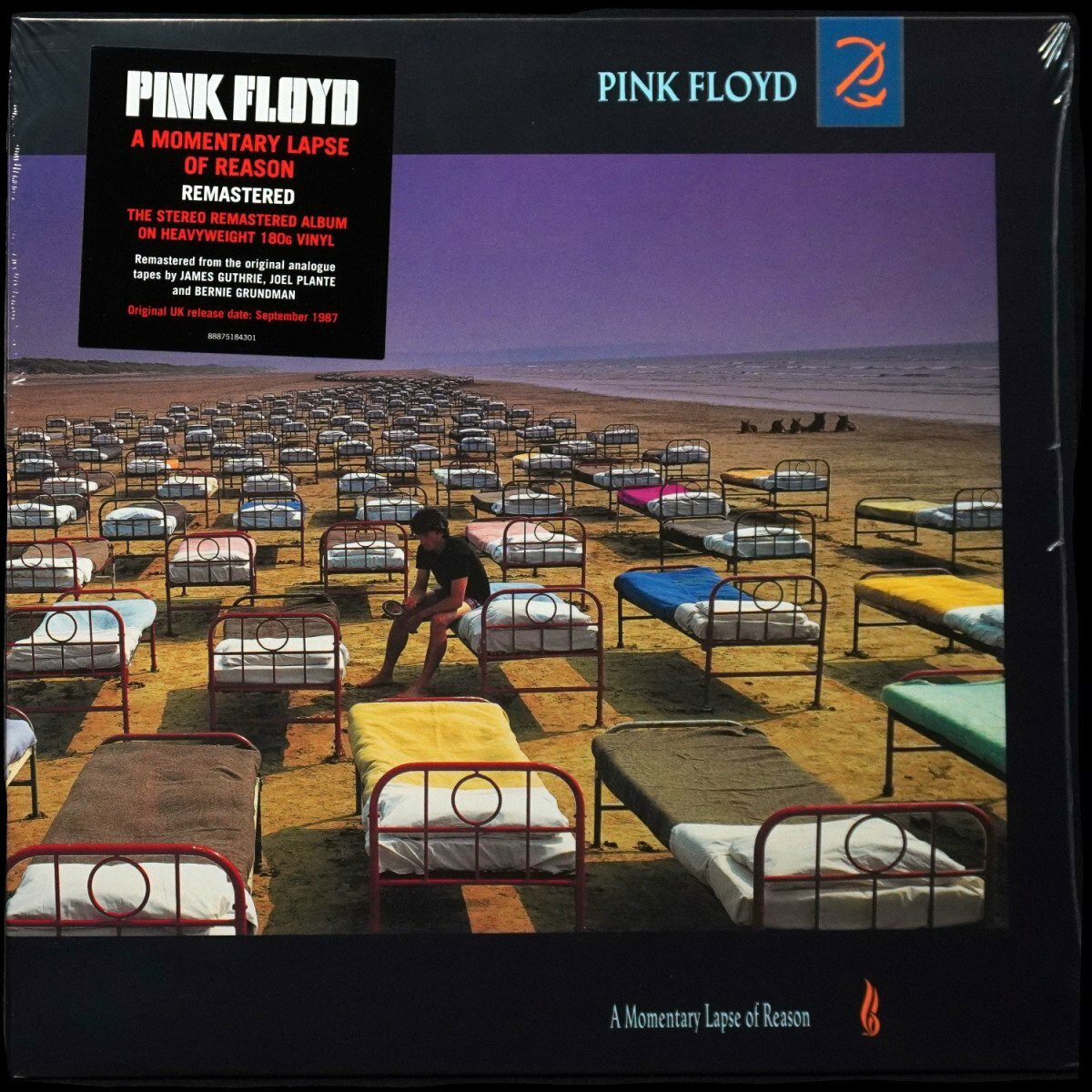 Виниловая пластинка Columbia Pink Floyd – A Momentary Lapse Of Reason
