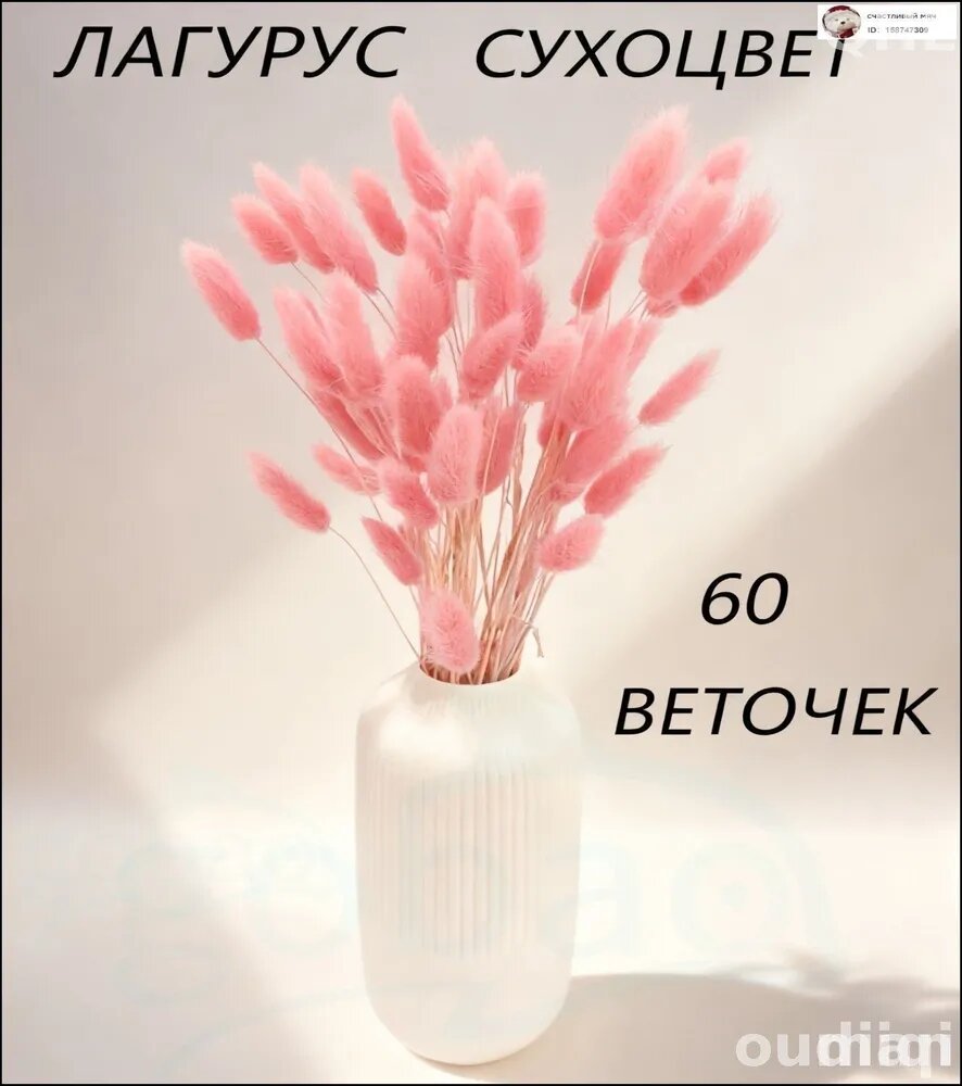 Сухоцветы Лагурус, 55 см, 100 гр, 60 шт