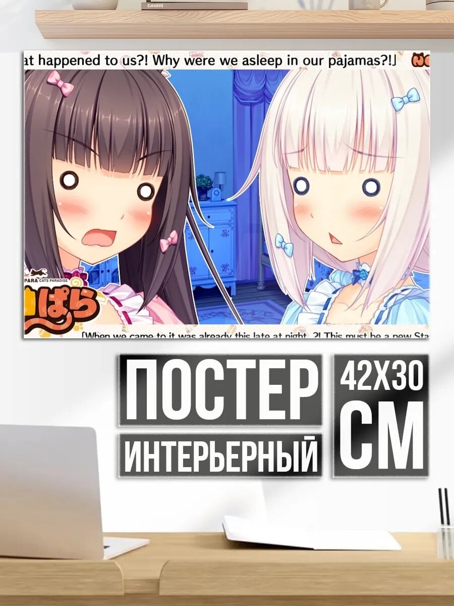 Плакат постер Некопара Неко