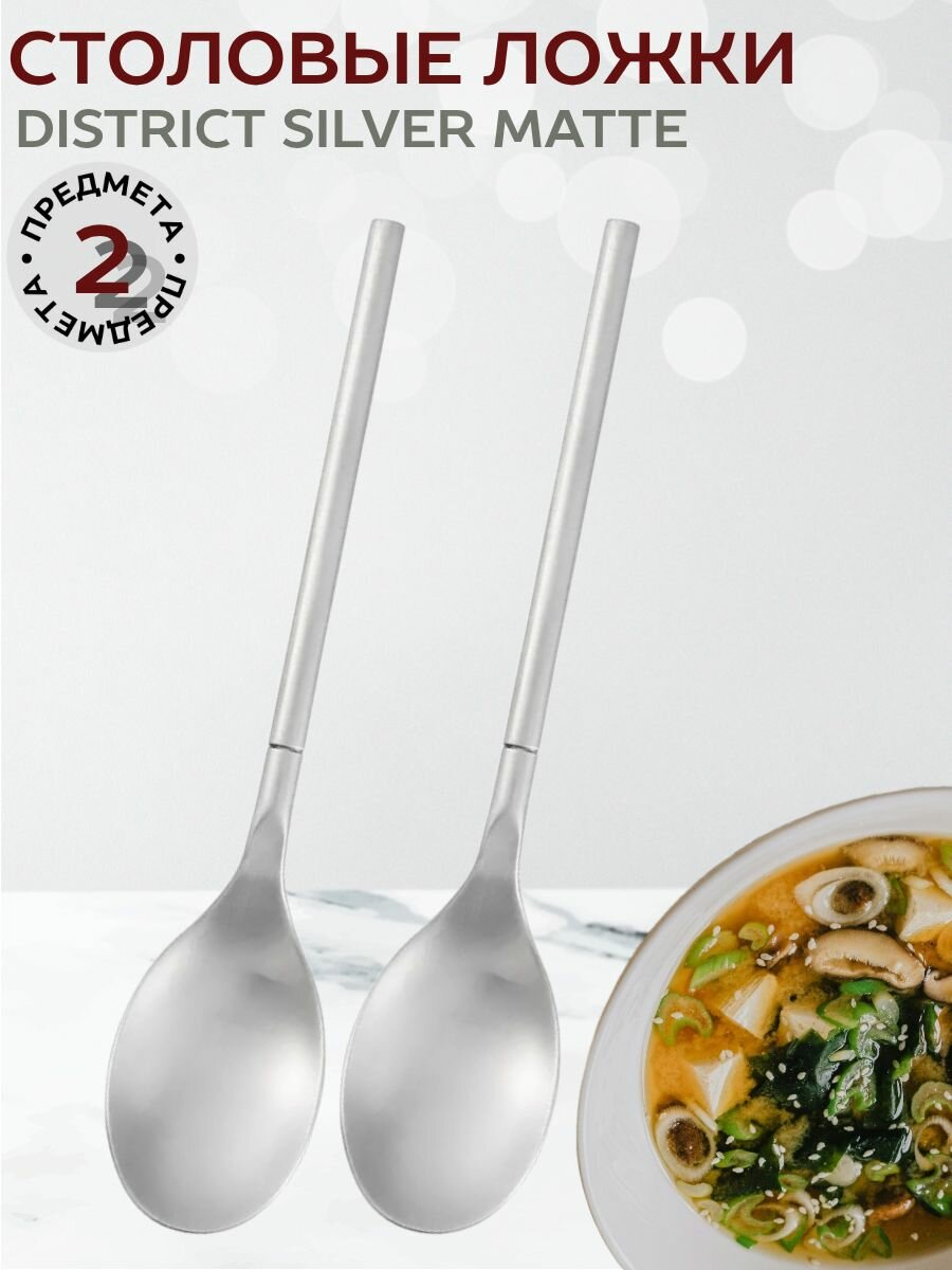 2 ложки столовые District Silver Matte