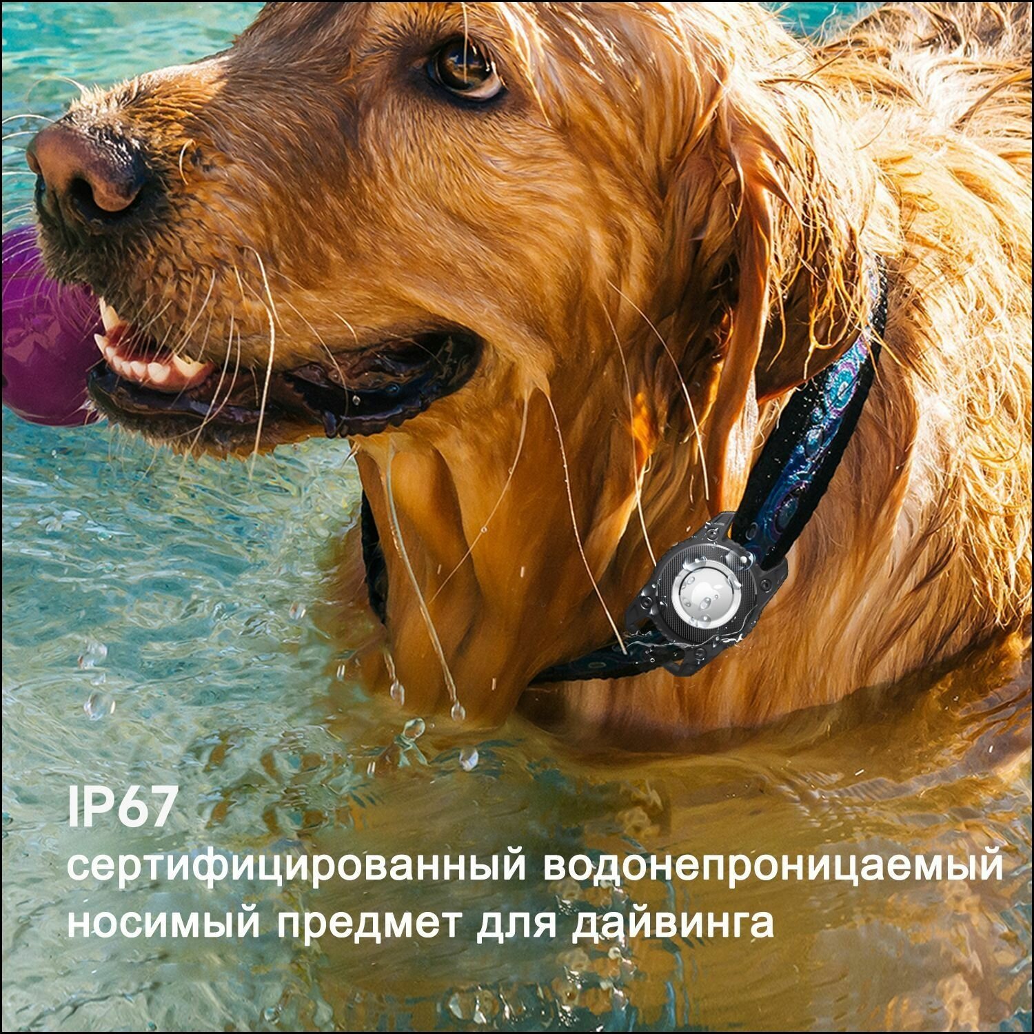 Брелок на ошейник — фото 1