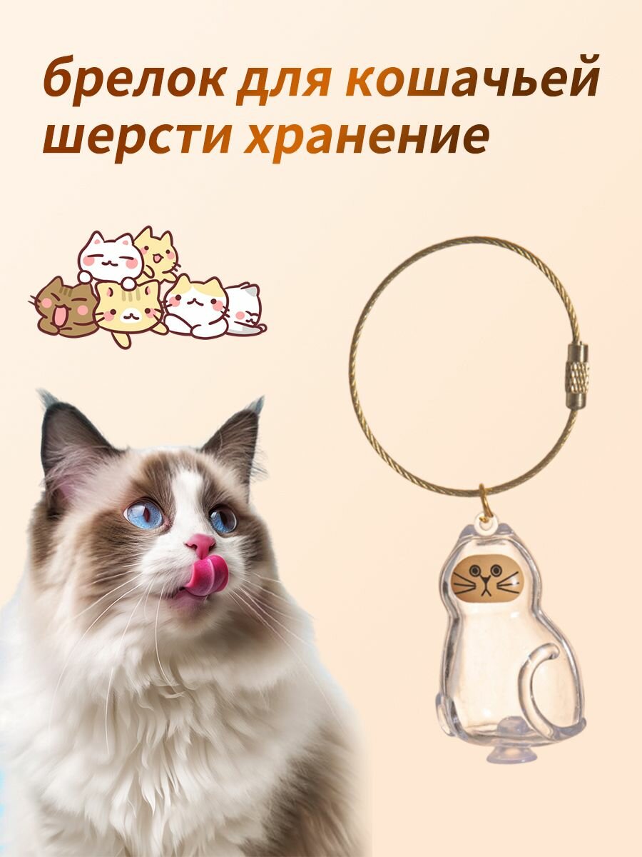 Прозрачный памятный кулон-капсула из кошачьей шерсти, милый, в форме кошки, подарок для любителей кошек кулон-капсула памятный кулон подарок для любителей кошек