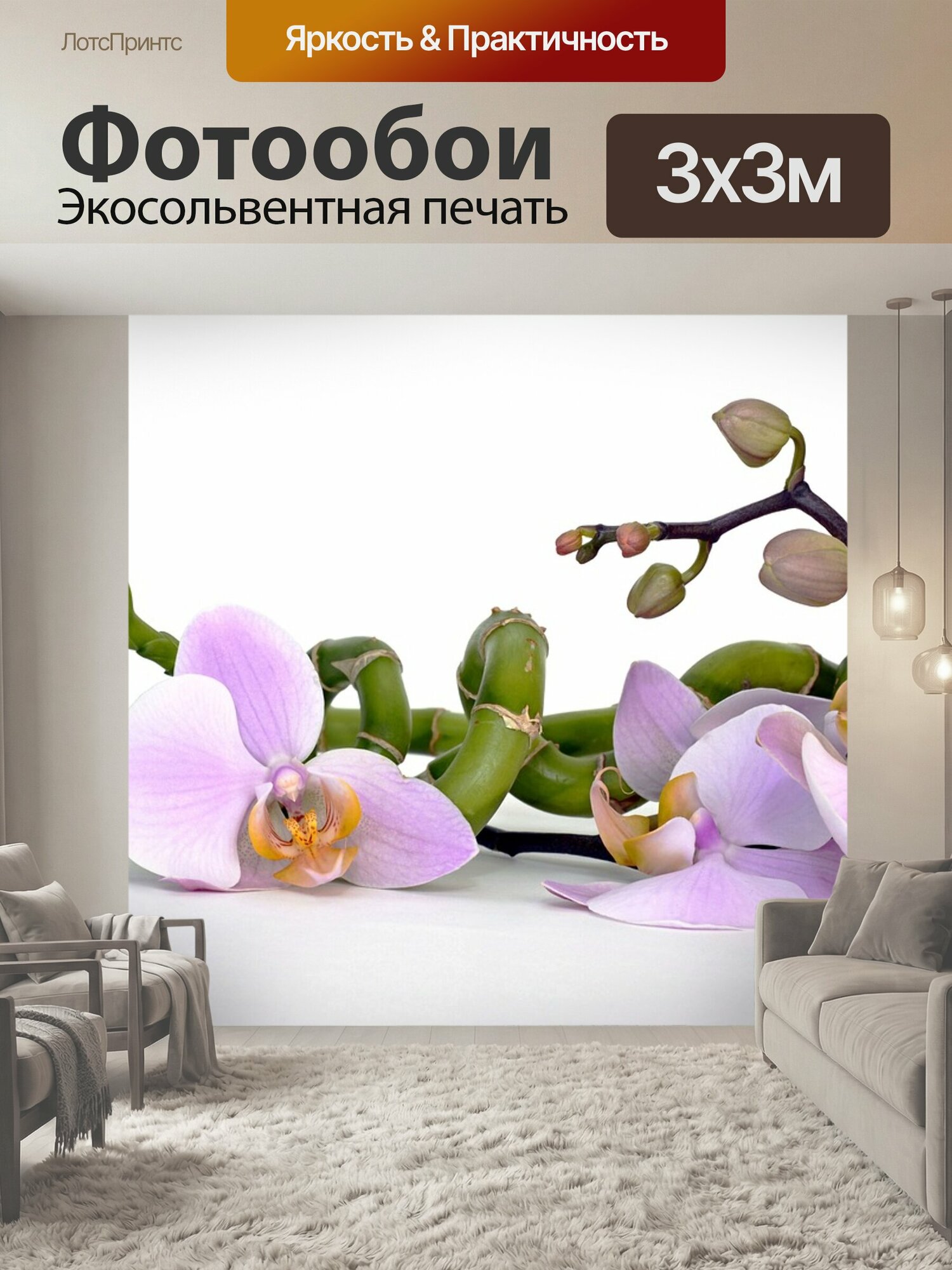 Фотообои "Орхидея, орхидея цветок, бамбук" 300x300 см. экосольвентная печать