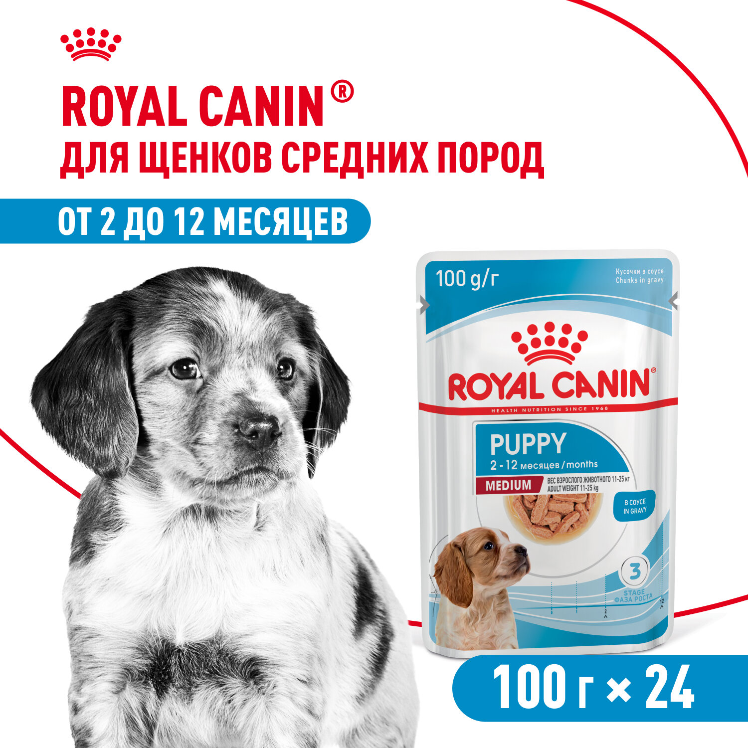 Royal Canin влажный корм для щенков средних пород, в соусе (24шт в уп) 100 гр