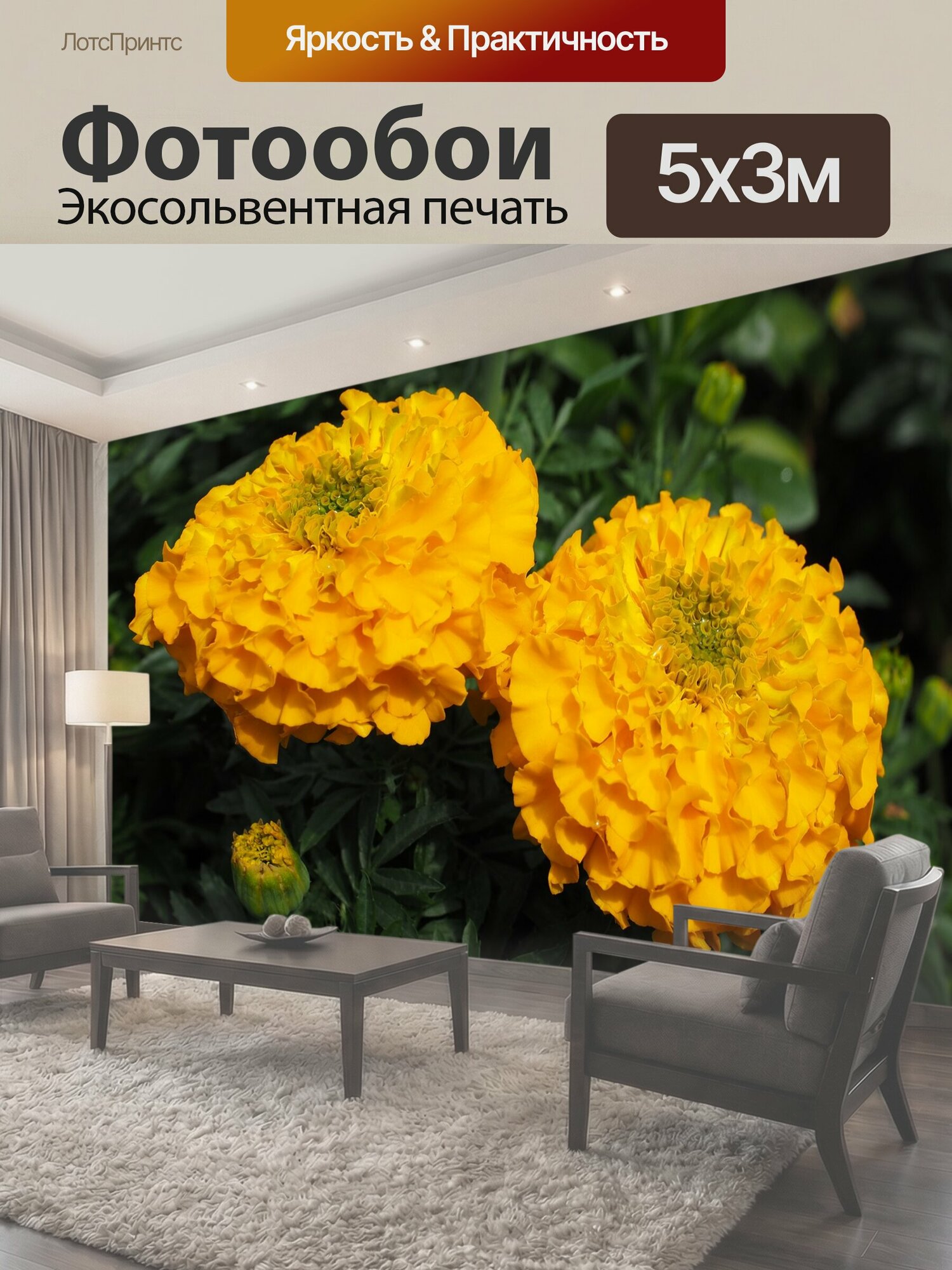 Фотообои "Бархатцы, цветок, цвести" 500x300 см. экосольвентная печать