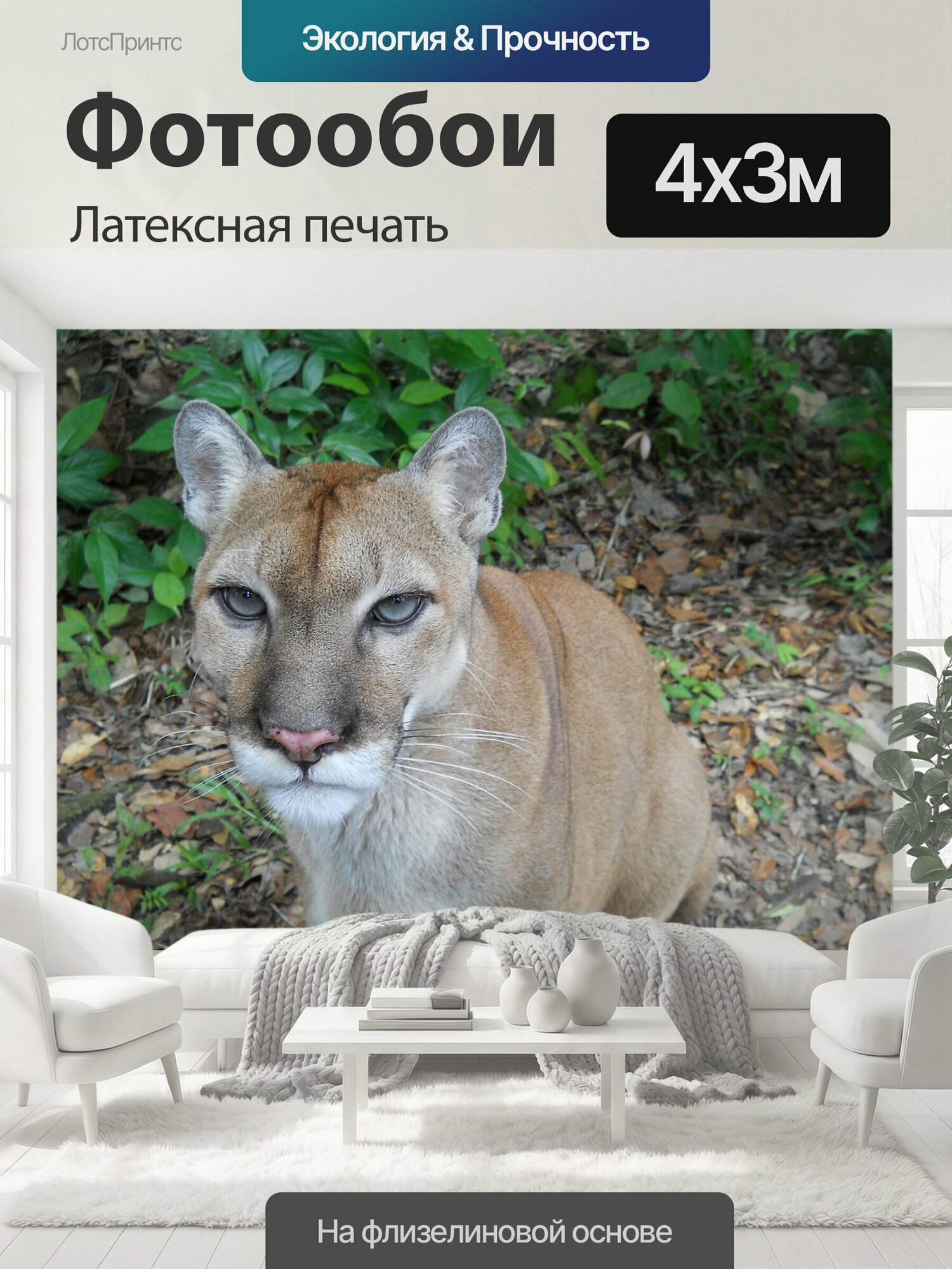 Фотообои моющиеся ударопрочные "Пума, кошка, дикая природа" 400x300 см. латексная печать