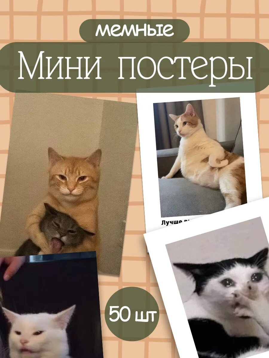 Смешные постеры мемы, мини постеры мемы тик ток