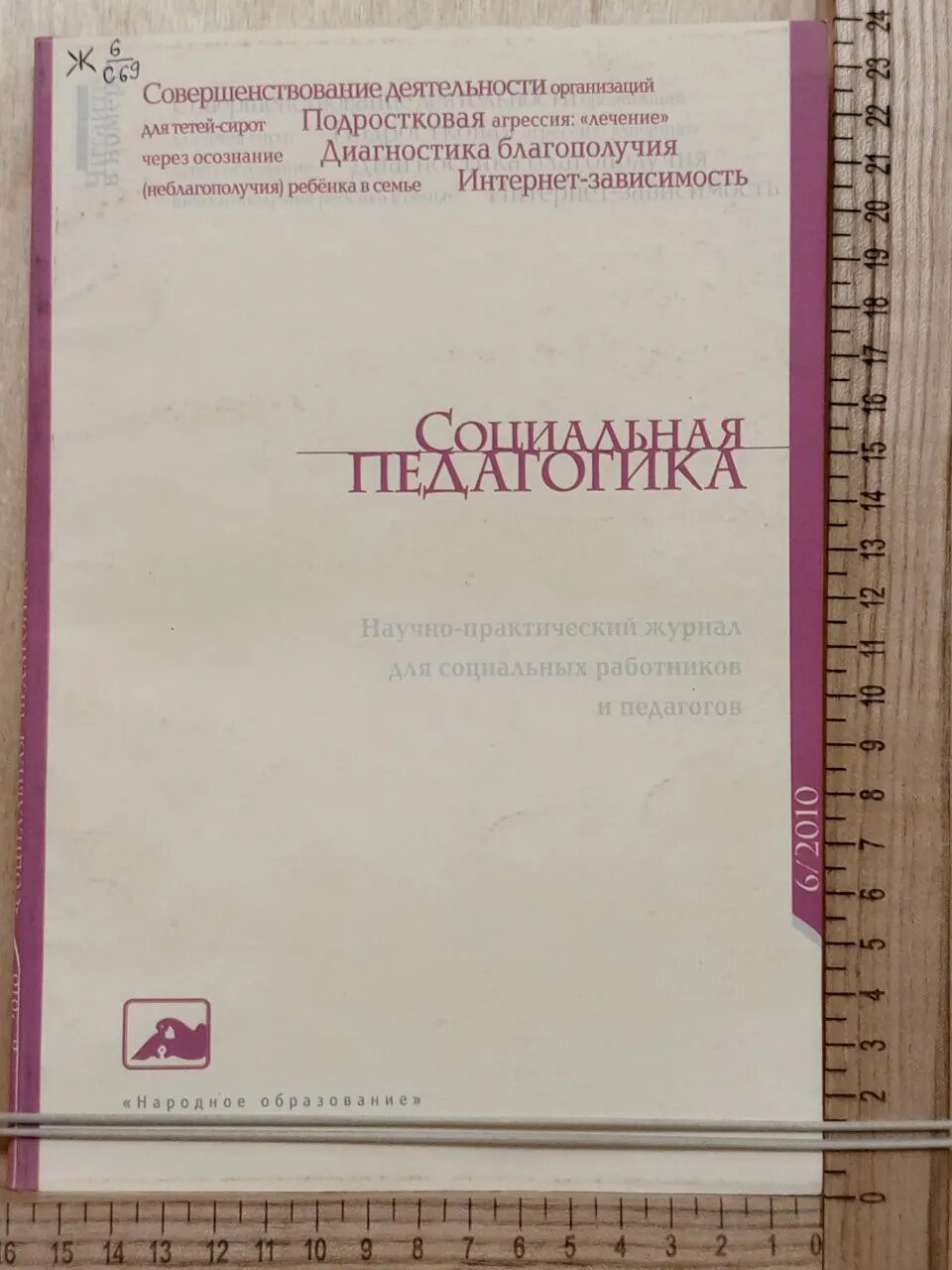 Социальная педагогика 6.2010