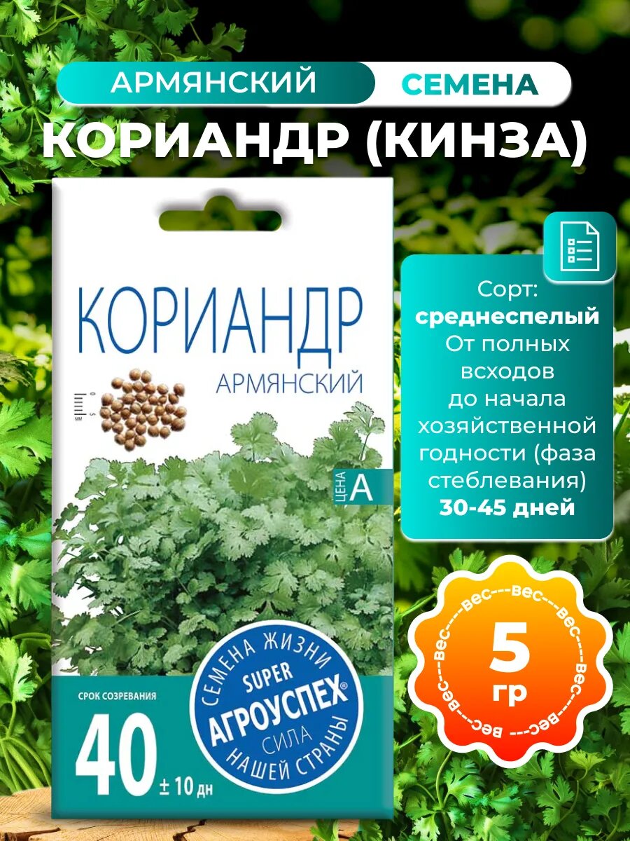 Семена кориандра (кинзы) Армянский, 5г