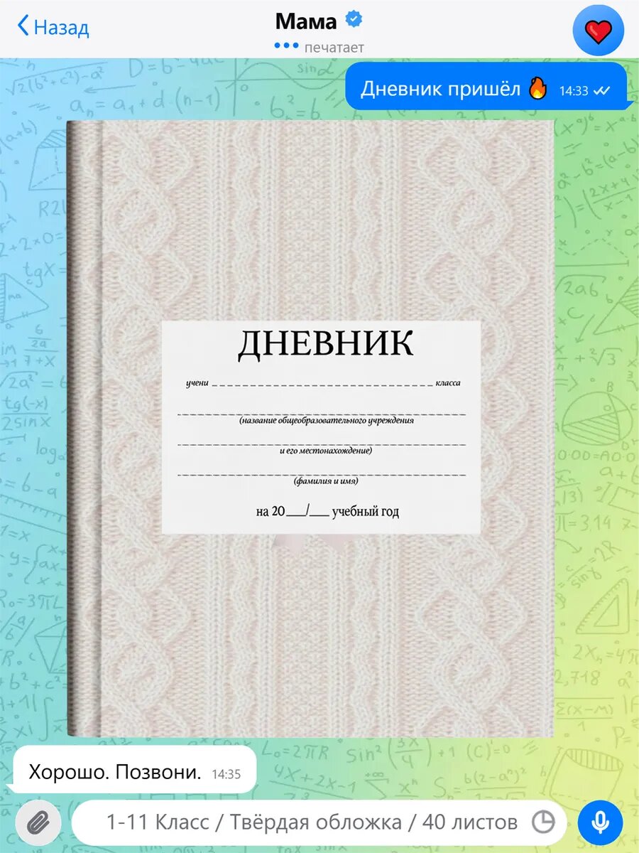Школьный дневник с принтом y2k pinterest