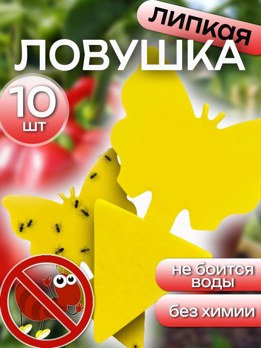 Липкая ловушка для насекомых клеевая в цветы , средство приманка от мошек в комнатных цветах, для растений дома и сада (мошка, тля, трипс, паутинный клещ, щитовка, белокрылка) 10 шт