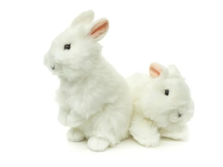 Игрушка Заяц белый 22см P80093WA