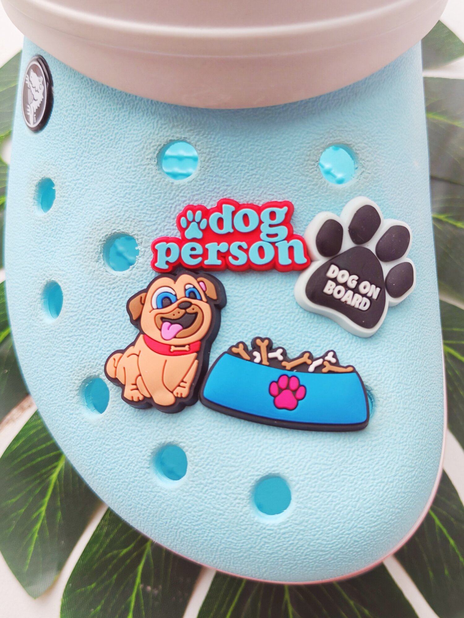 Джибитсы собаки на crocs