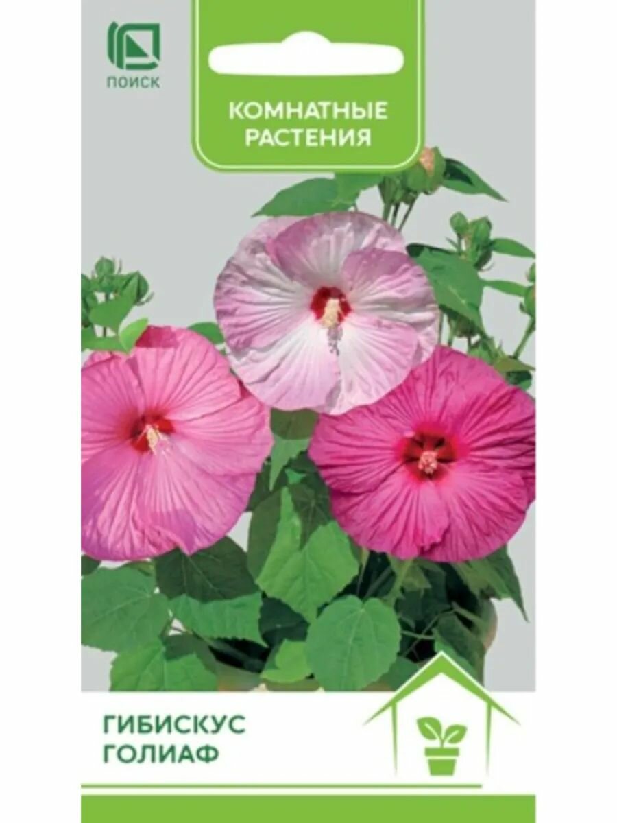 Гибискус Голиаф 0,1 г, Семена Поиск