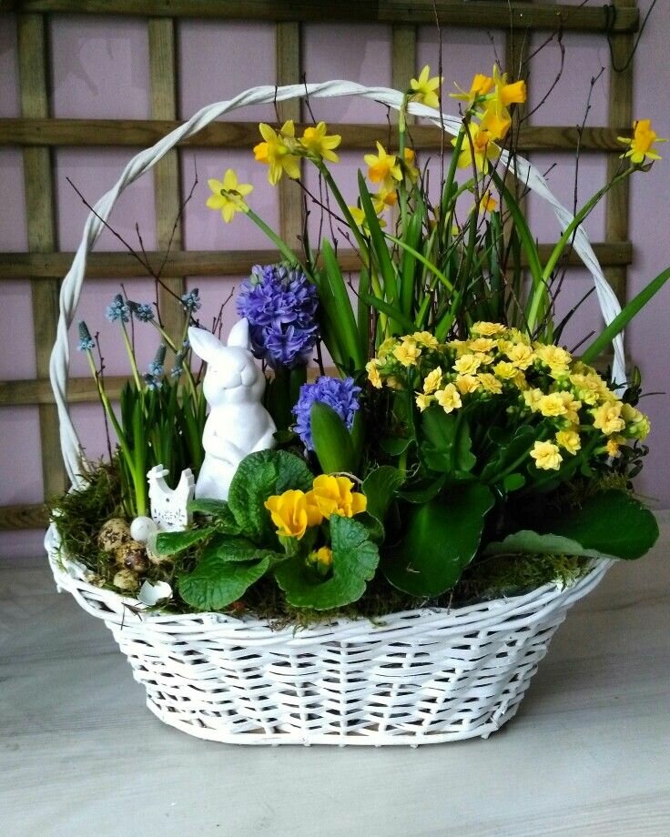 Композиция весенних первоцветов в корзине "Magic wood"(нарциссы, мускари, гиацинты, каланхоэ)