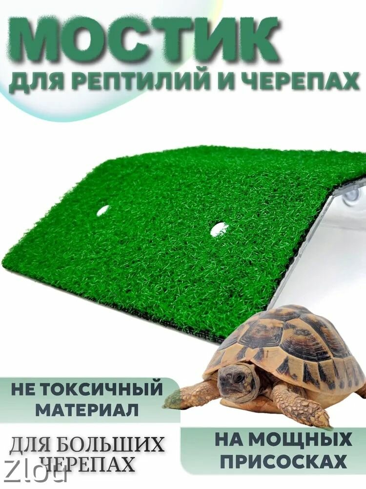 Мостик для черепахи в аквариум большой на присосках / островок для красноухой черепахи в аквариум навесной
