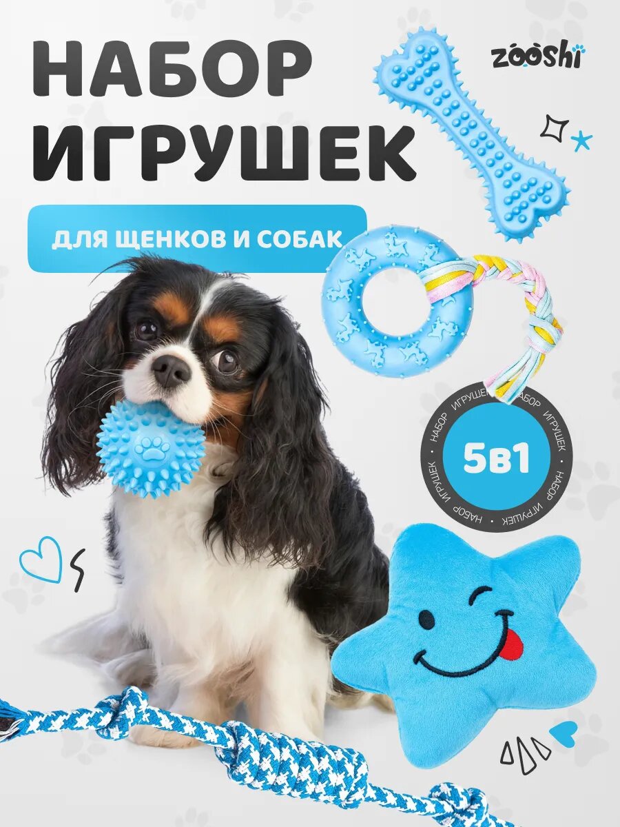 Набор игрушек "5в1", для собак, текстиль/резина, 5 шт