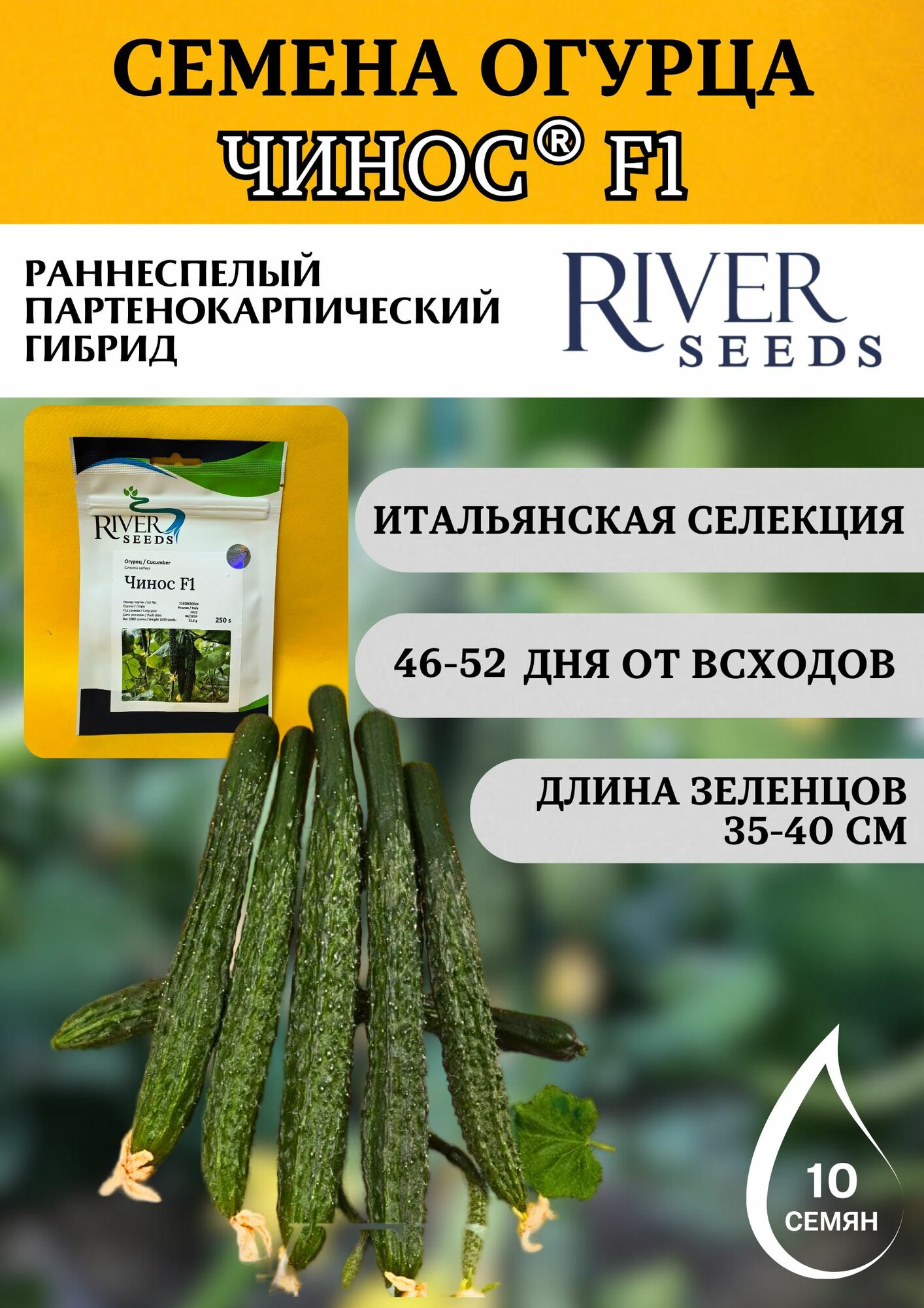 Чинос F1 огурец 10 семян River Seeds, профессиональные семена
