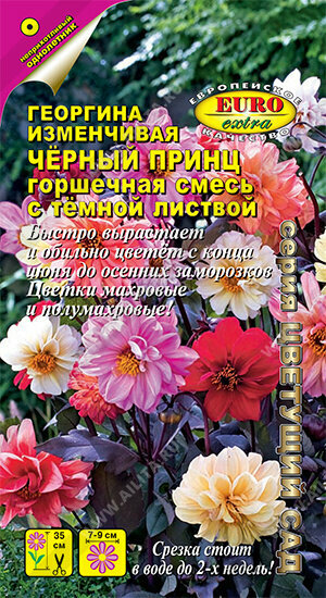 Семена цветов "Черный принц" от Аэлита, георгины, высота до 35см