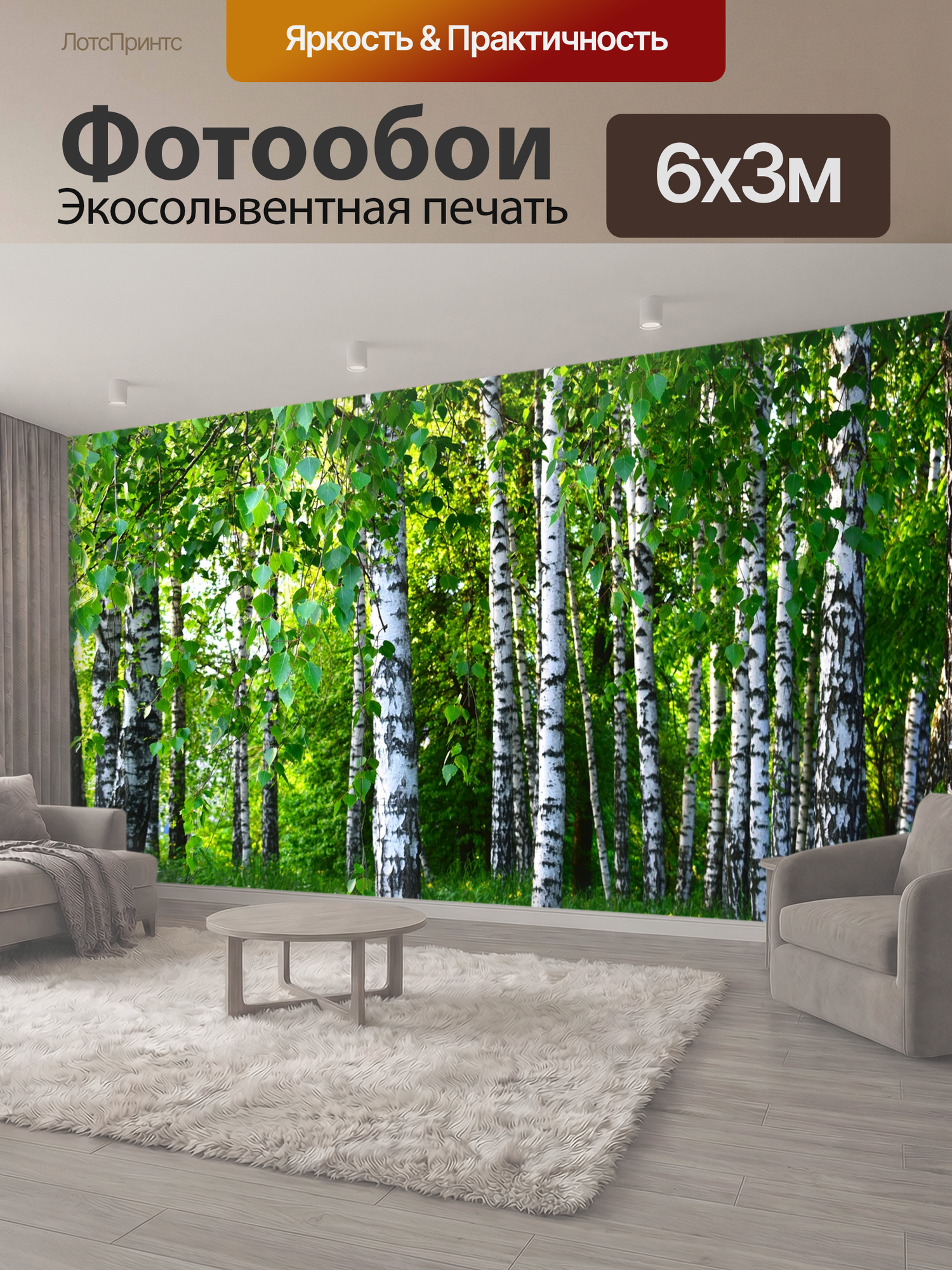 Фотообои "Березы, роща, лес" 600x300 см. экосольвентная печать