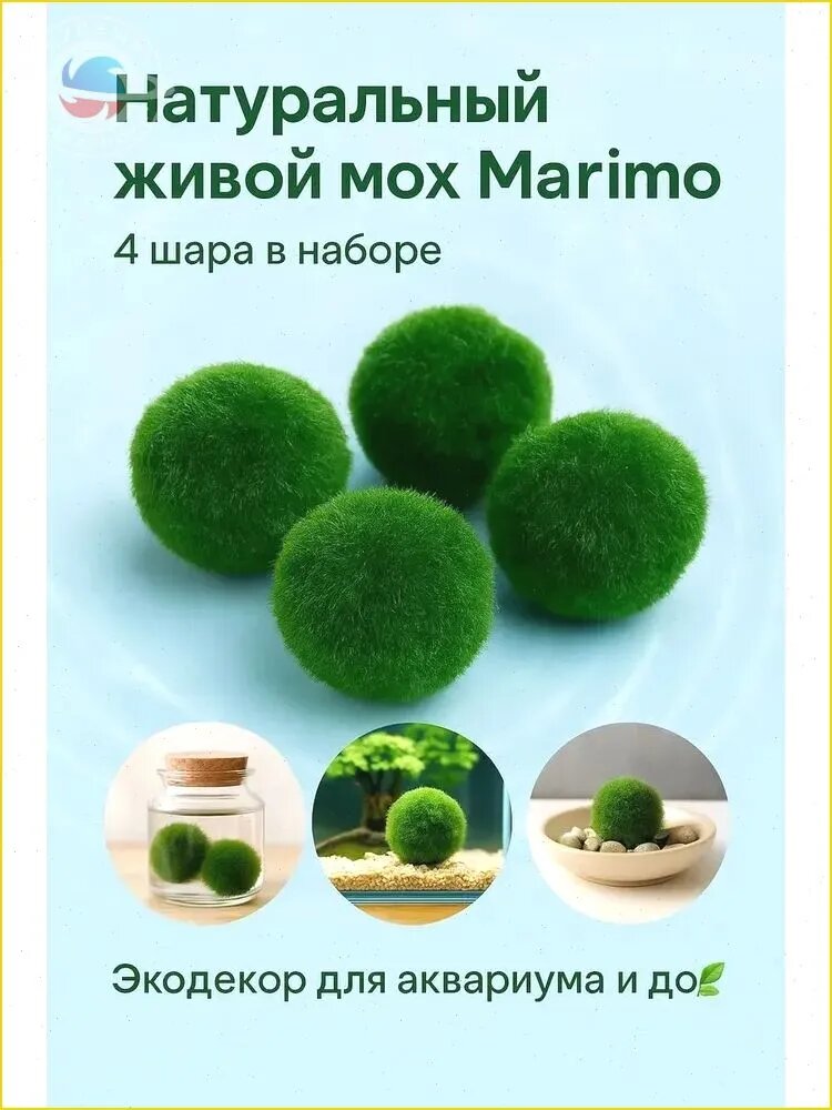 Кладофора шаровидная мох маримо (Aegagropila linnaei) 1см 4шт.