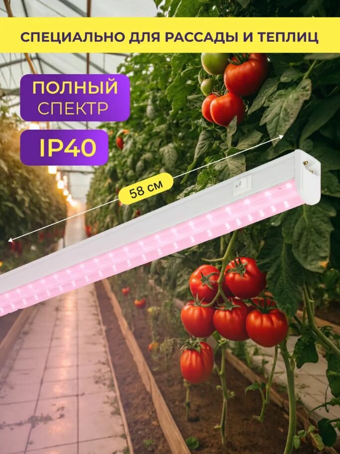 Светильник Фито лампа для рассады и растений Ф9 9W 560мм Здоровья клад