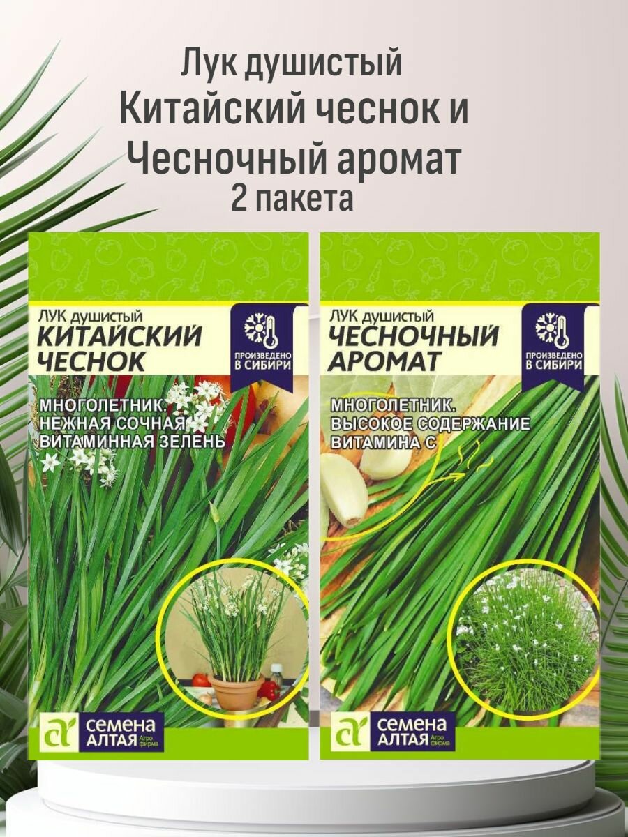 Лук душистый Китайский чеснок и Чесночный аромат 2 пакета