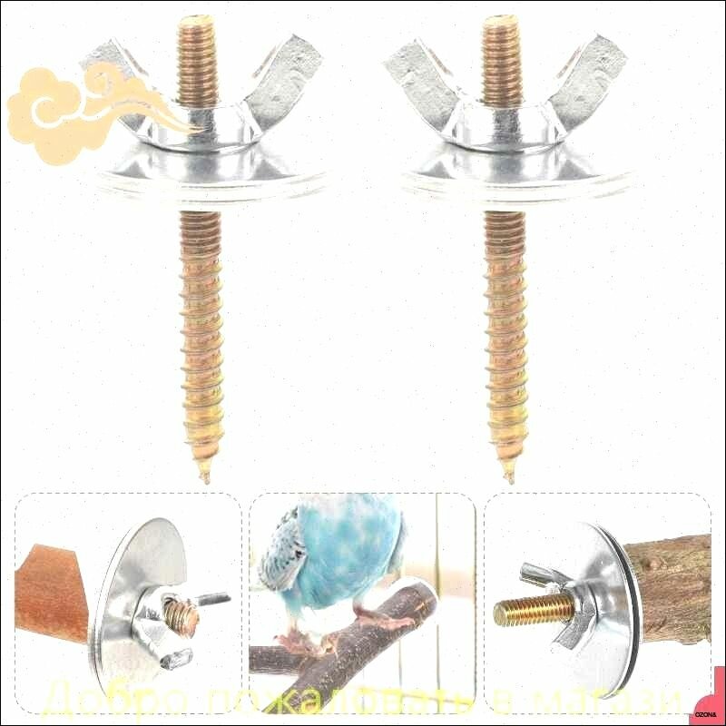 10 наборов аксессуаров для винтов подставки, кормушек для клеток, крепления птичьих жердочек, нержавеющий стальной комплект для маленьких попугаев 4.00X0.20X0.20CM