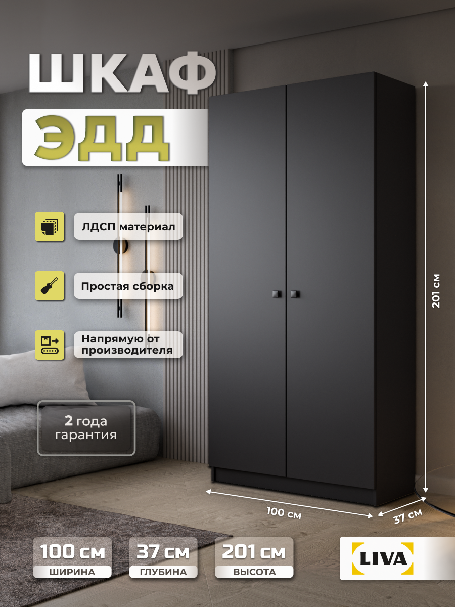 Шкаф для одежды, распашной шкаф с полками и штангой, графит ЭДД 100x200.6x37.2, LIVA