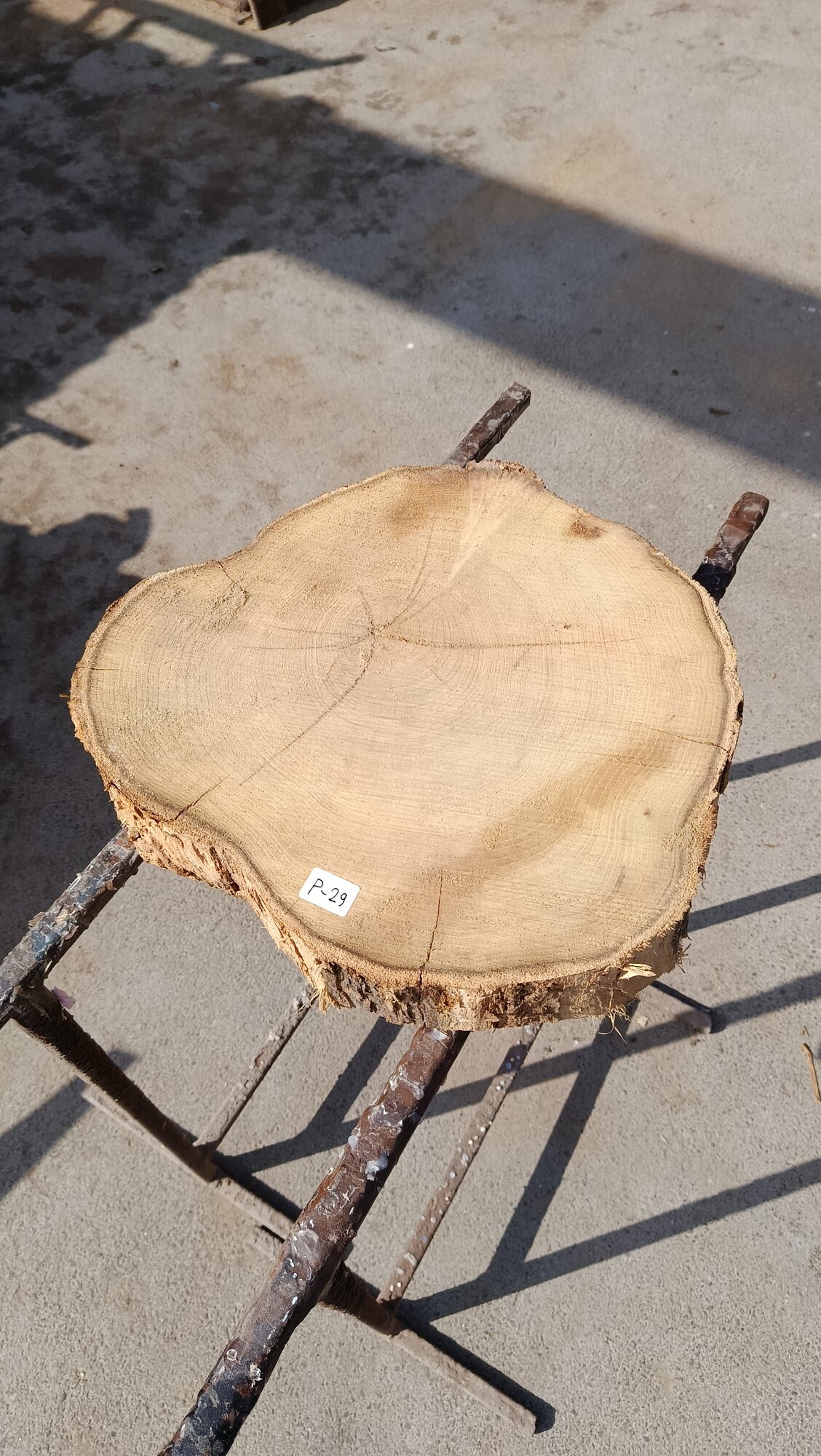 Спил из акации 40х35х7 см(Р29) высушенный и не фрезерованный, не шлифованный