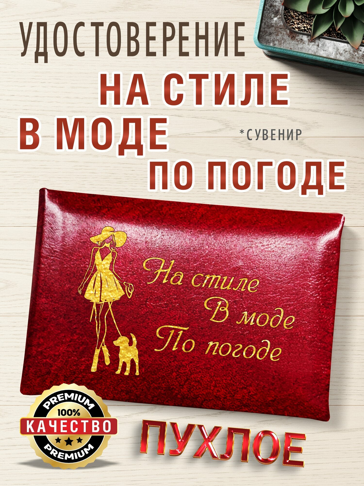 Удостоверение "На стиле. В моде. По погоде" в подарок девушке, жене, подруге, сестре, коллеге, пухлая корочка
